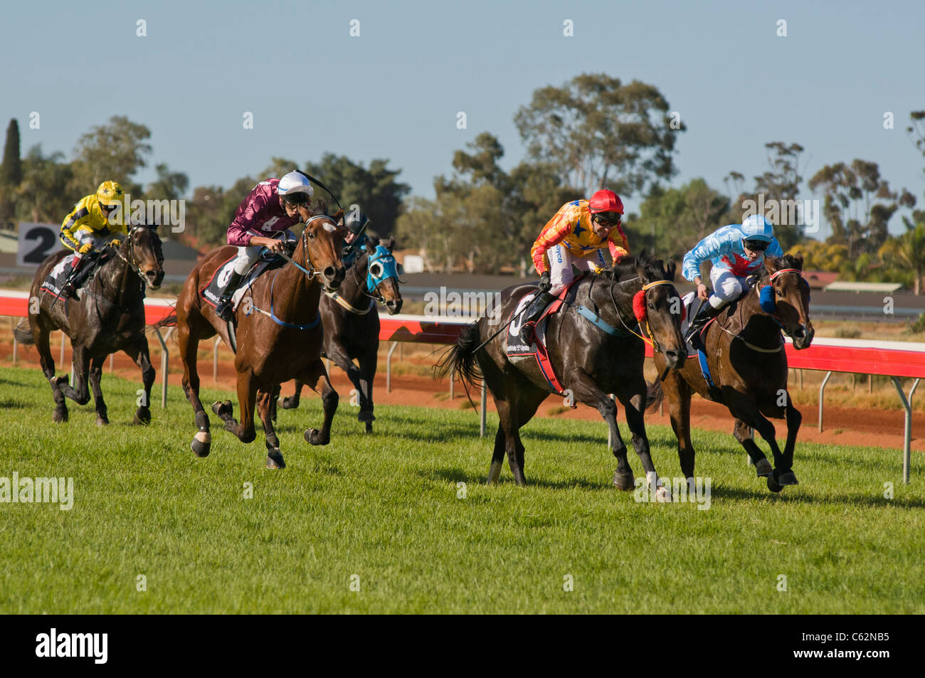 Horseracing industry High Resolution Stock Photography and Images - Alamy