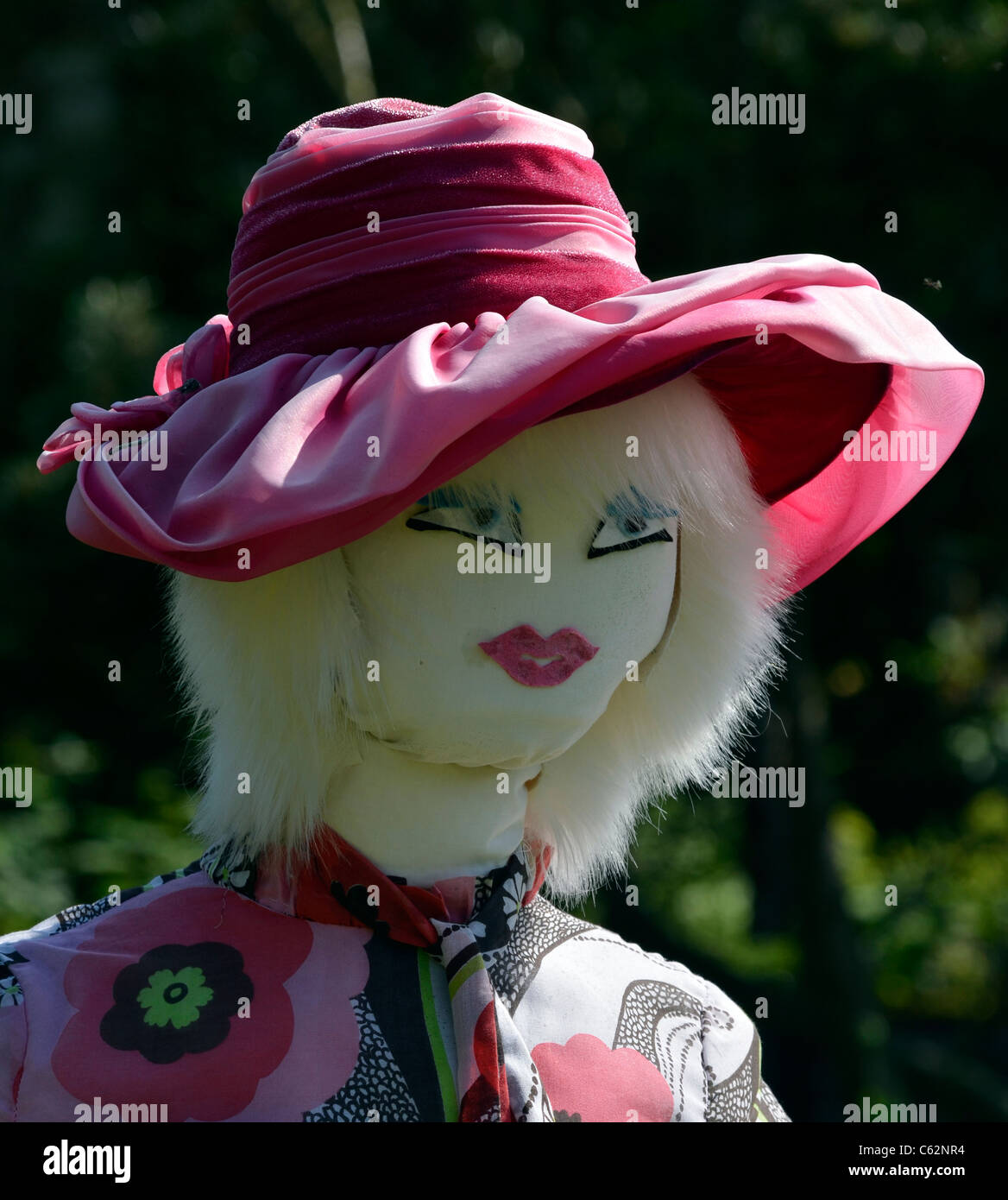 Scarecrow face hi-res stock photography and images - Alamy