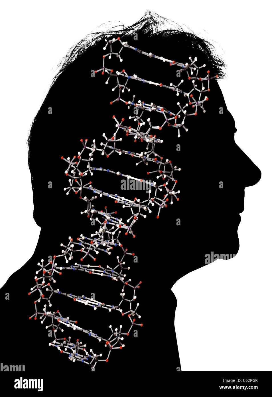 Dna chain hi-res stock photography and images - Alamy