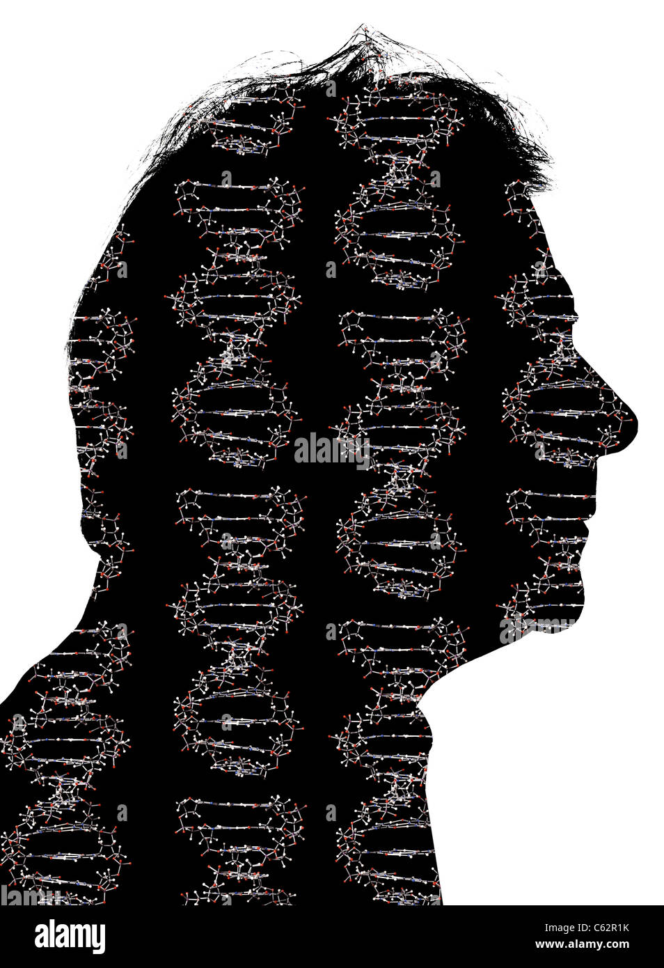 DNA chain in a human head Stock Photo - Alamy