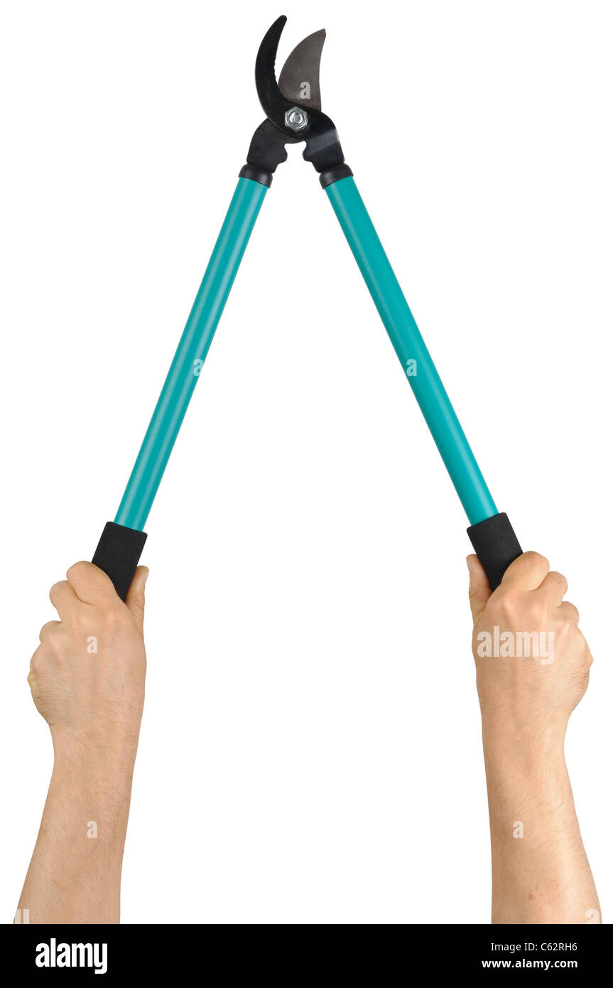 Hands with Loppers Stock Photo - Alamy