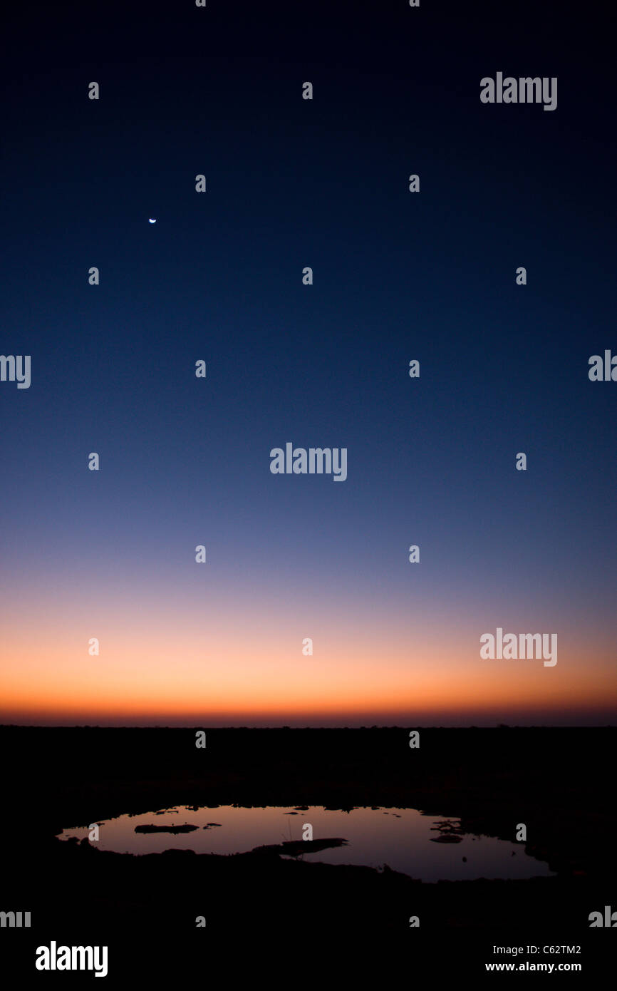 The Moringa water hole at sunset. Etosha National Park, Namibia Stock ...