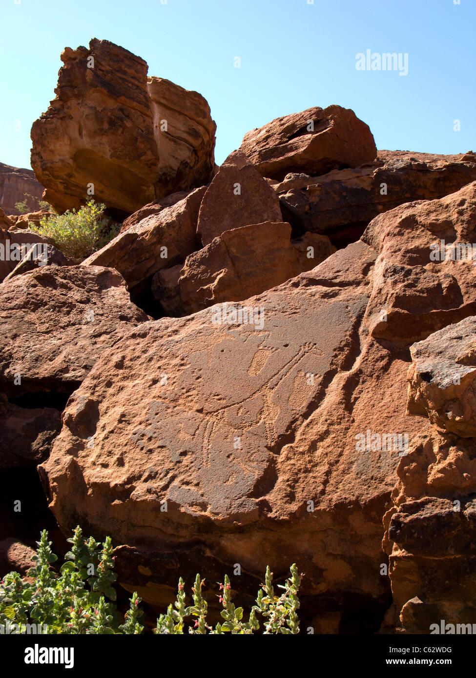 Giraffe footprint hi-res stock photography and images - Alamy