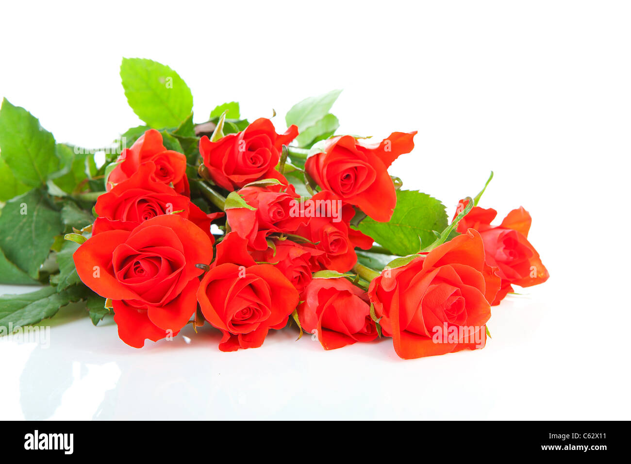 Pile of red roses over white background Stock Photo - Alamy