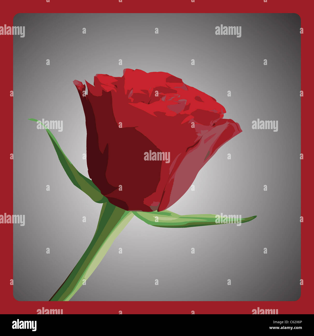 Stylised red rose on lighted background with red border Stock Photo - Alamy