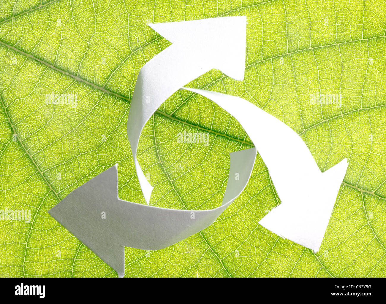 nature recycle abstract concept green leaf background Stock Photo - Alamy