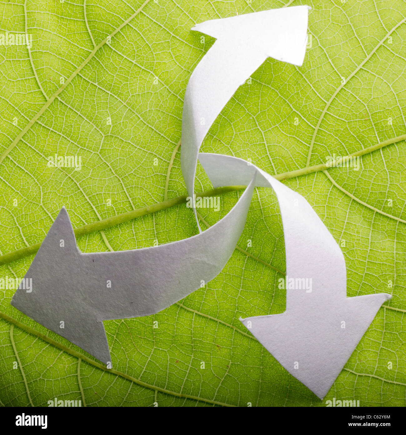 nature recycle abstract concept green leaf background Stock Photo - Alamy