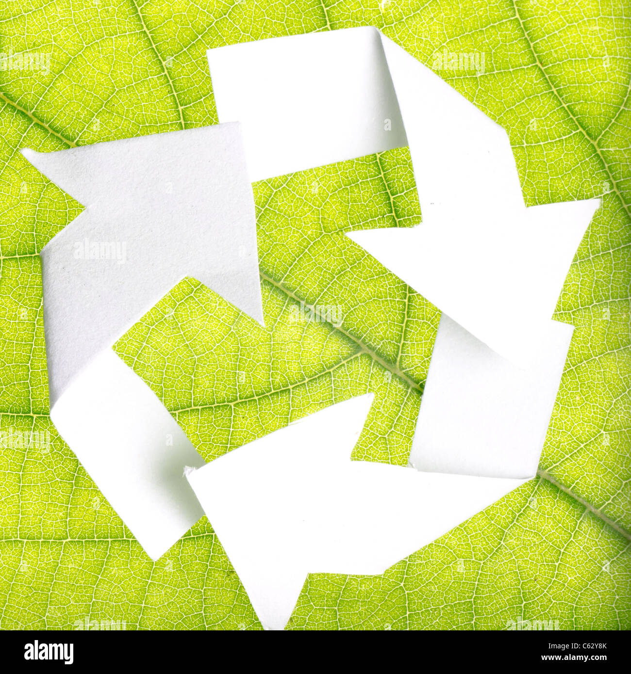 nature recycle abstract concept green leaf background Stock Photo - Alamy