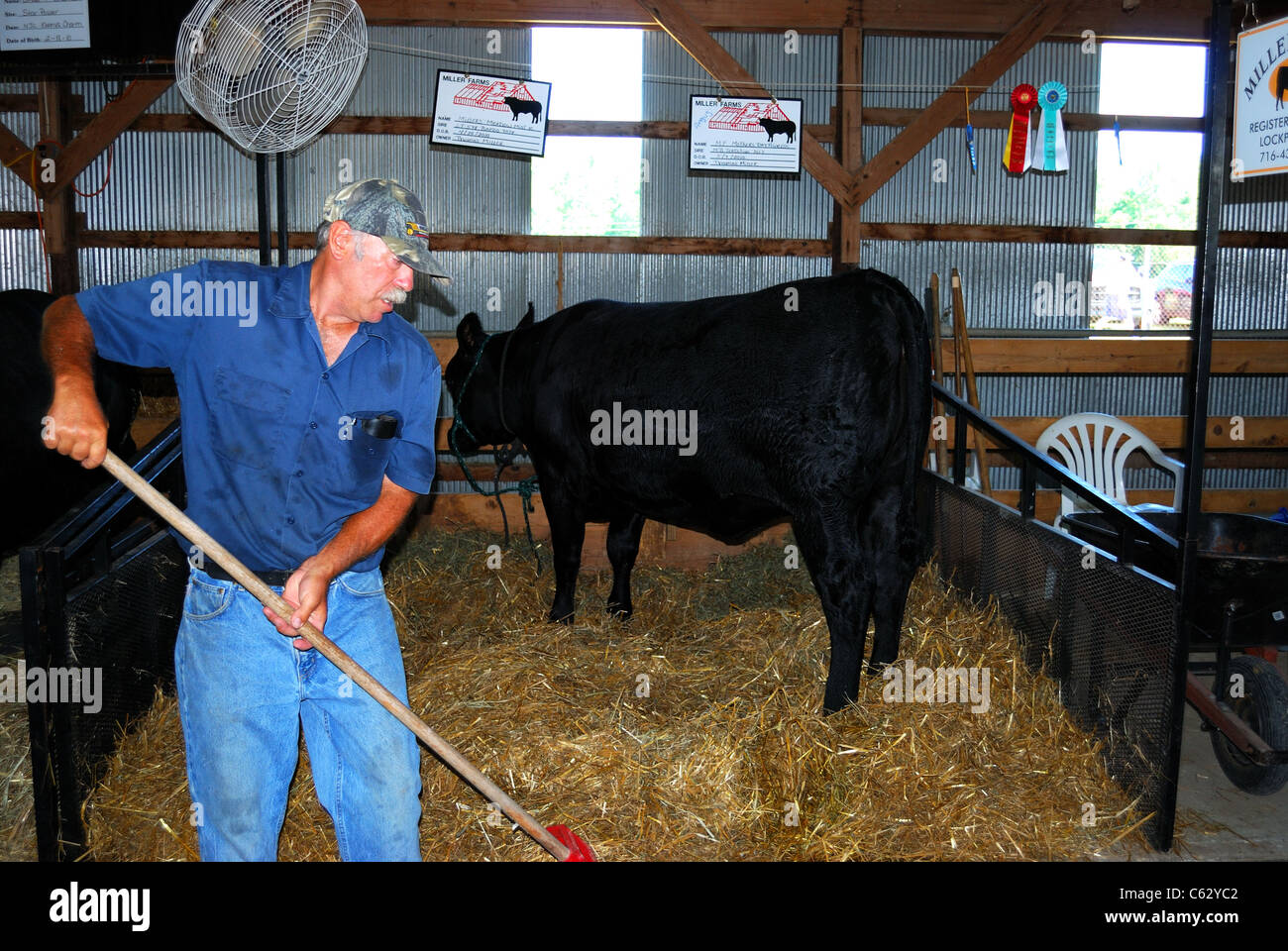 Farmer cleans his stall at the county fair Stock Photo - Alamy