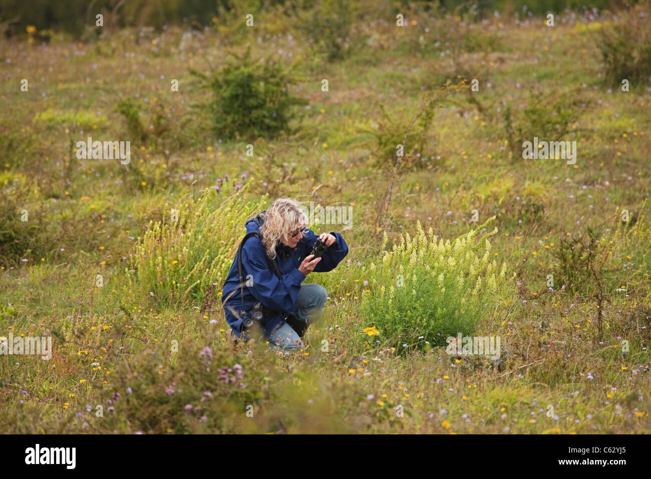 Botanist hi-res stock photography and images - Alamy