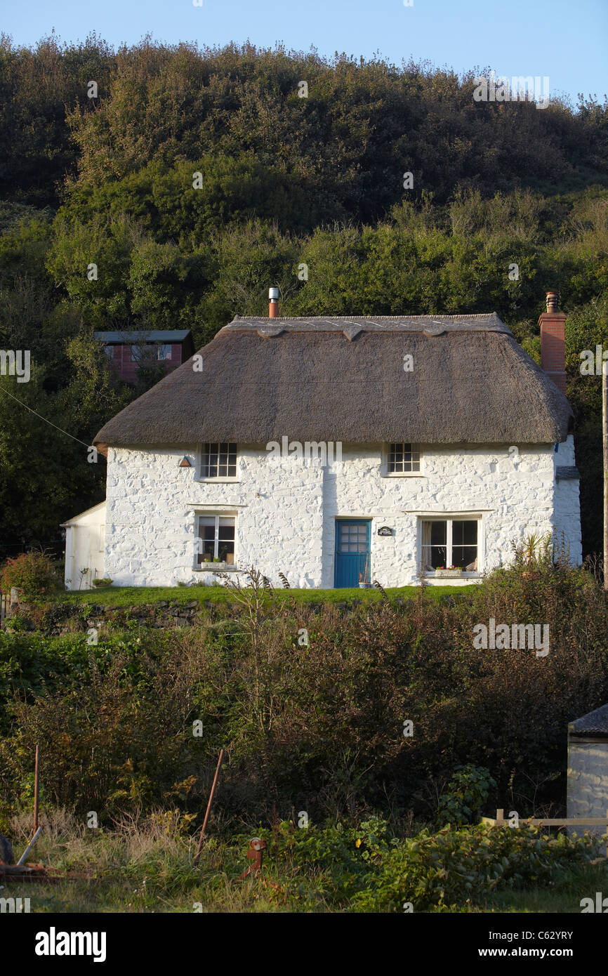 Cornwall thatched cottage roof hi-res stock photography and images - Alamy