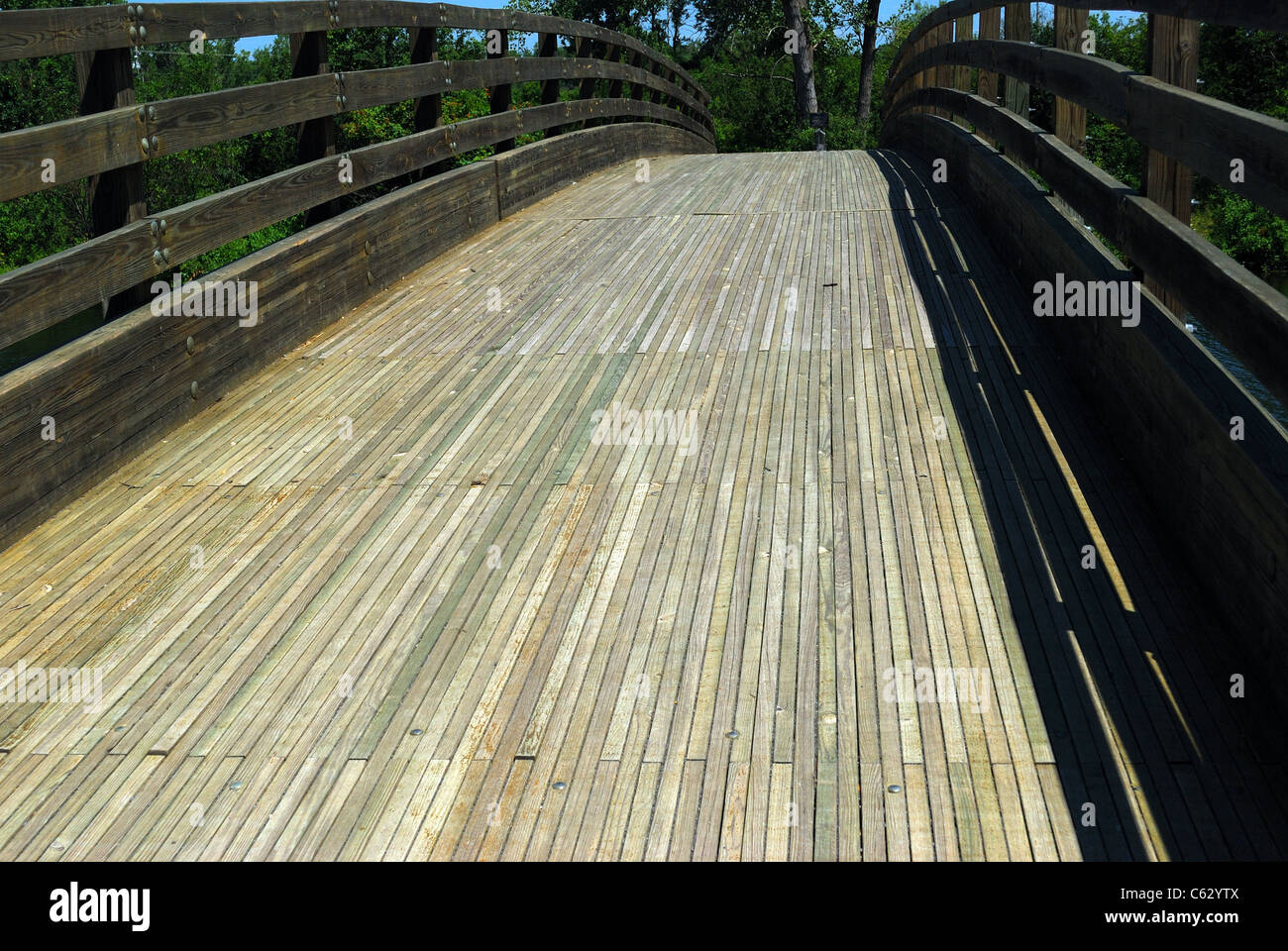 Curved wood foot bridge over lagoon waters in wetlands Stock Photo - Alamy