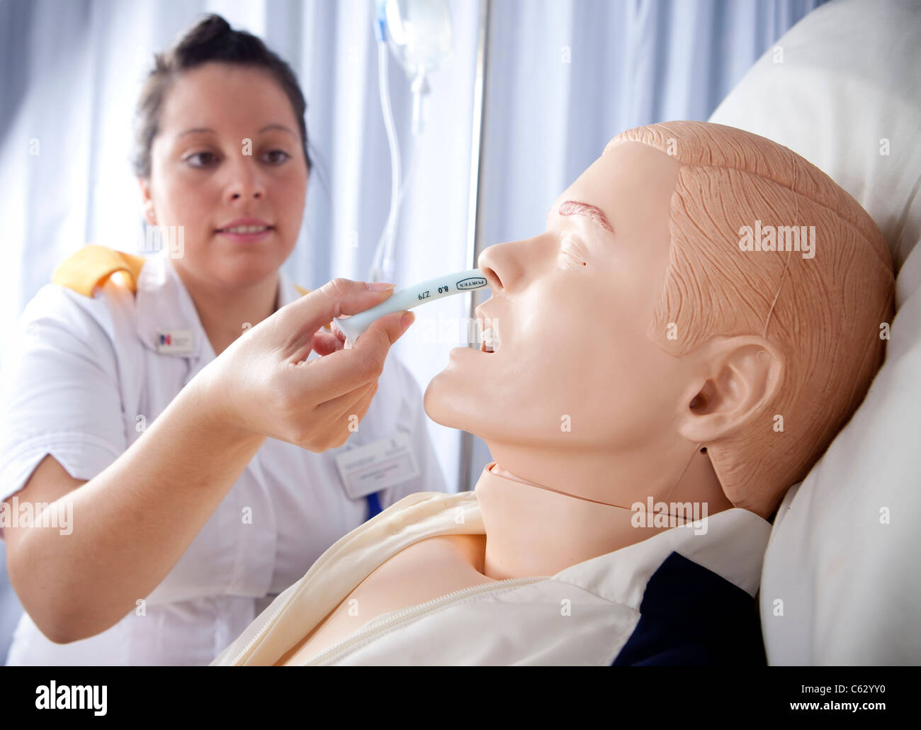 Realistic Medical Training Mannequin High Resolution Stock Photography ...