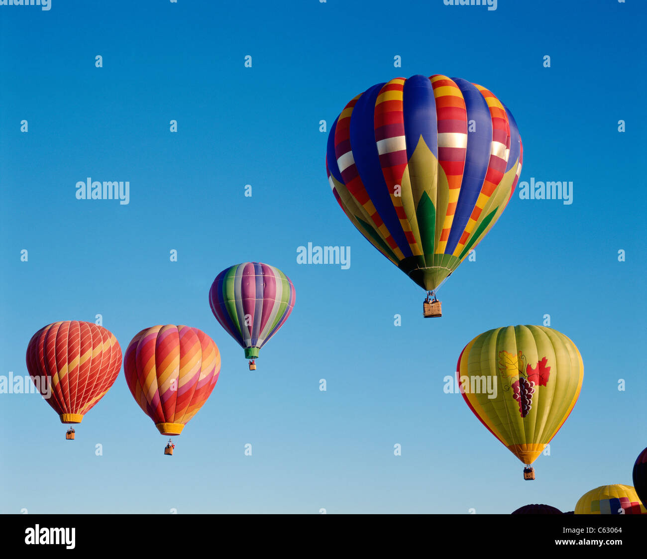Colourful Hot Air Balloons in Sky, Albuquerque, New Mexico, America ...