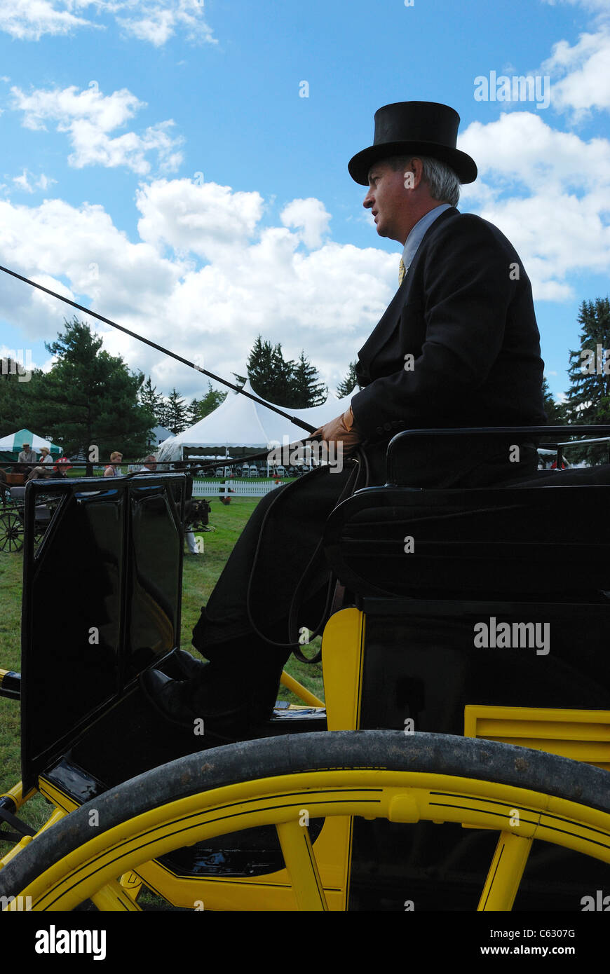 Carriage driver at Walnut Hill Farms annual carriage event Stock Photo ...