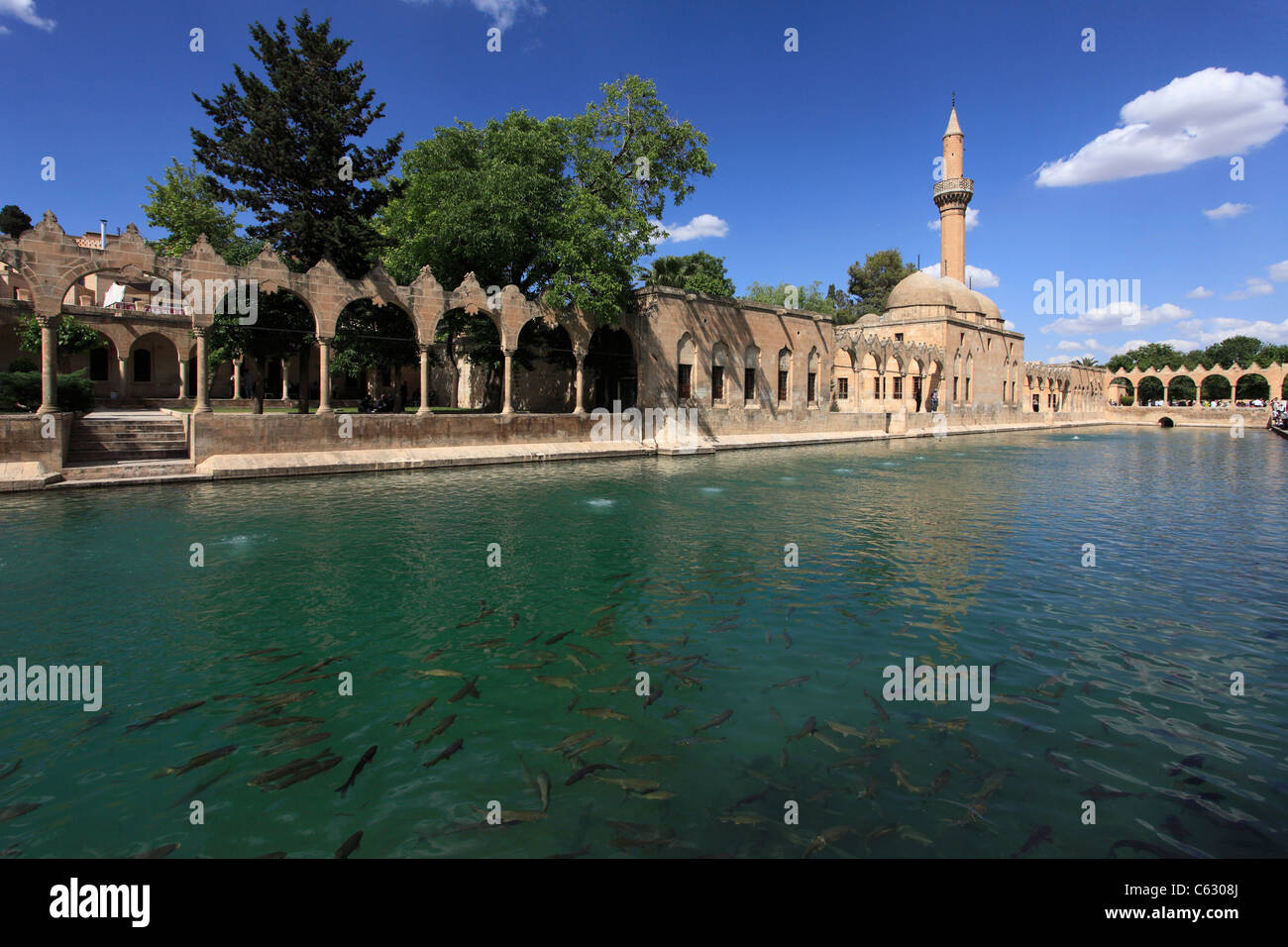 Turkey, Sanliurfa, Gölbasi, Balikli Göl Pool, Rizvaniye Mosque, sacred ...
