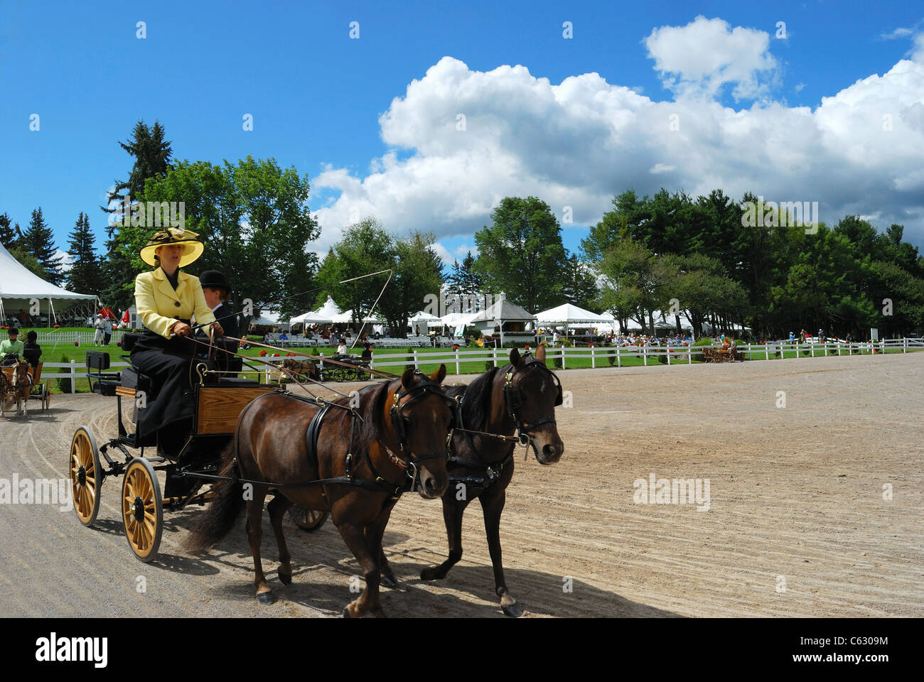 Carriage driver and passengers at Walnut Hill Farms annual carriage ...