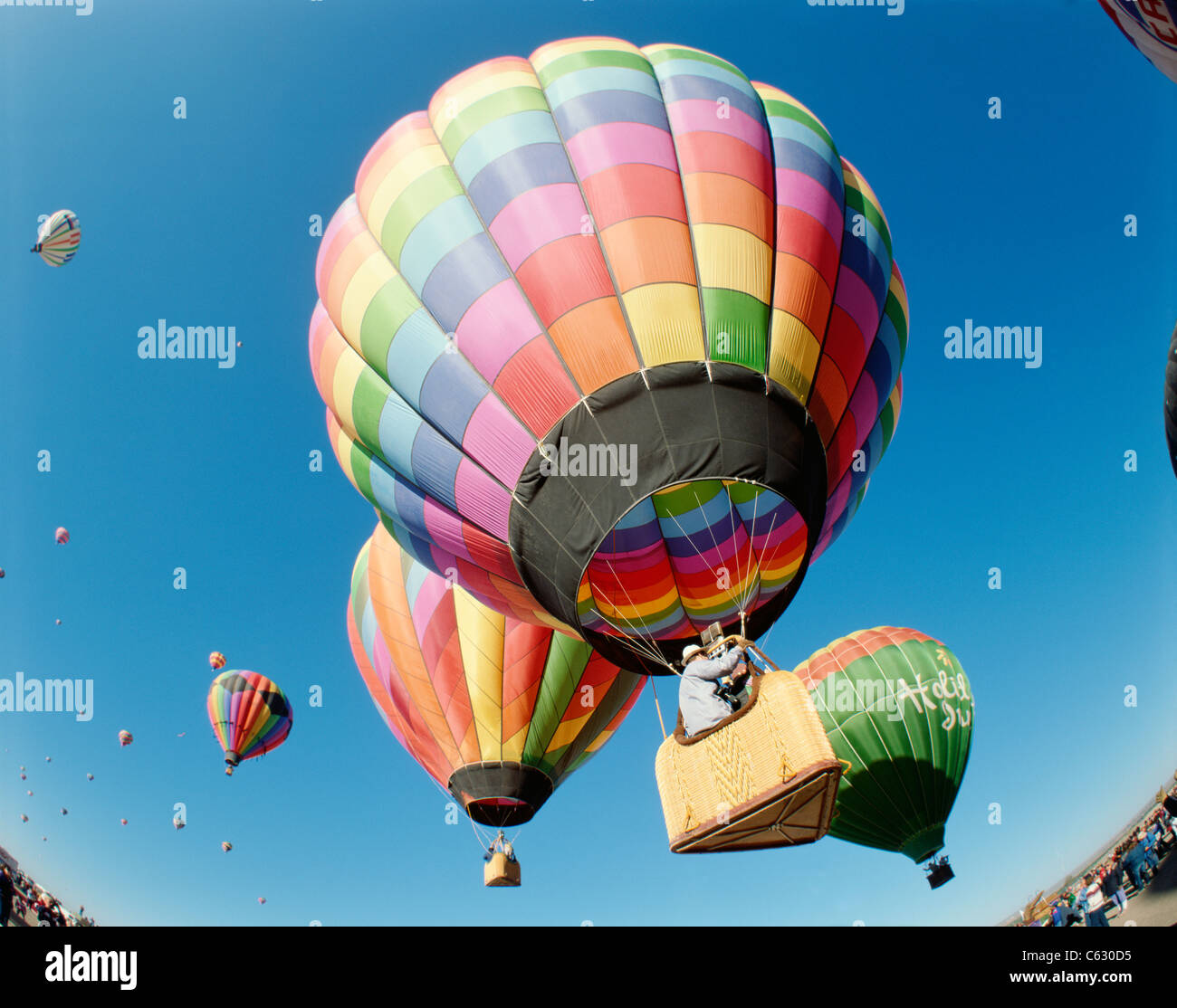 Colourful Hot Air Balloons in Sky, Albuquerque, New Mexico, America ...