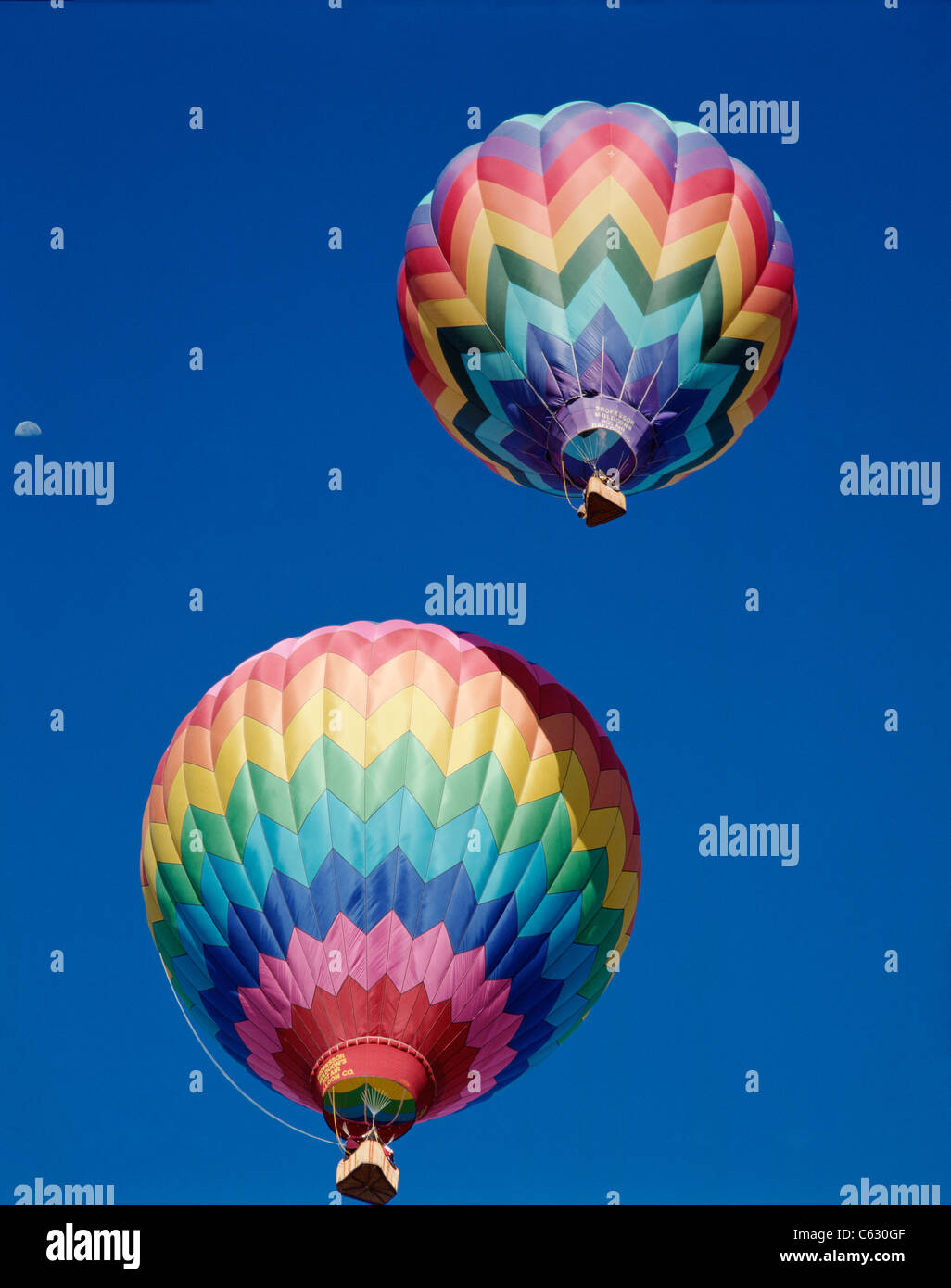 Colourful Hot Air Balloons in Sky, Albuquerque, New Mexico, America ...