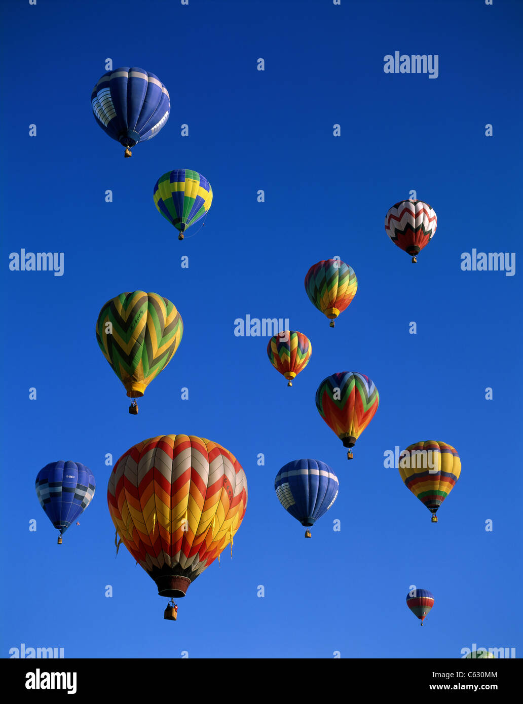 Colourful Hot Air Balloons in Sky, Albuquerque, New Mexico, America ...