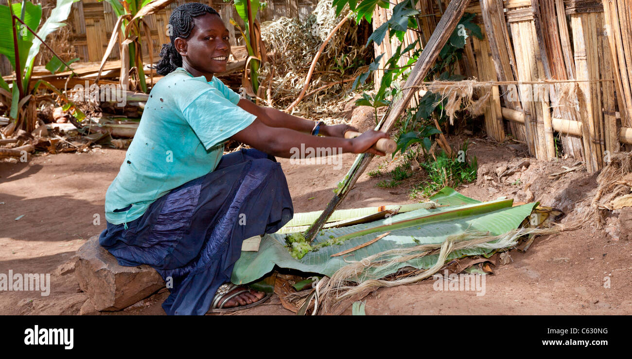 Enset ethiopia hi-res stock photography and images - Alamy