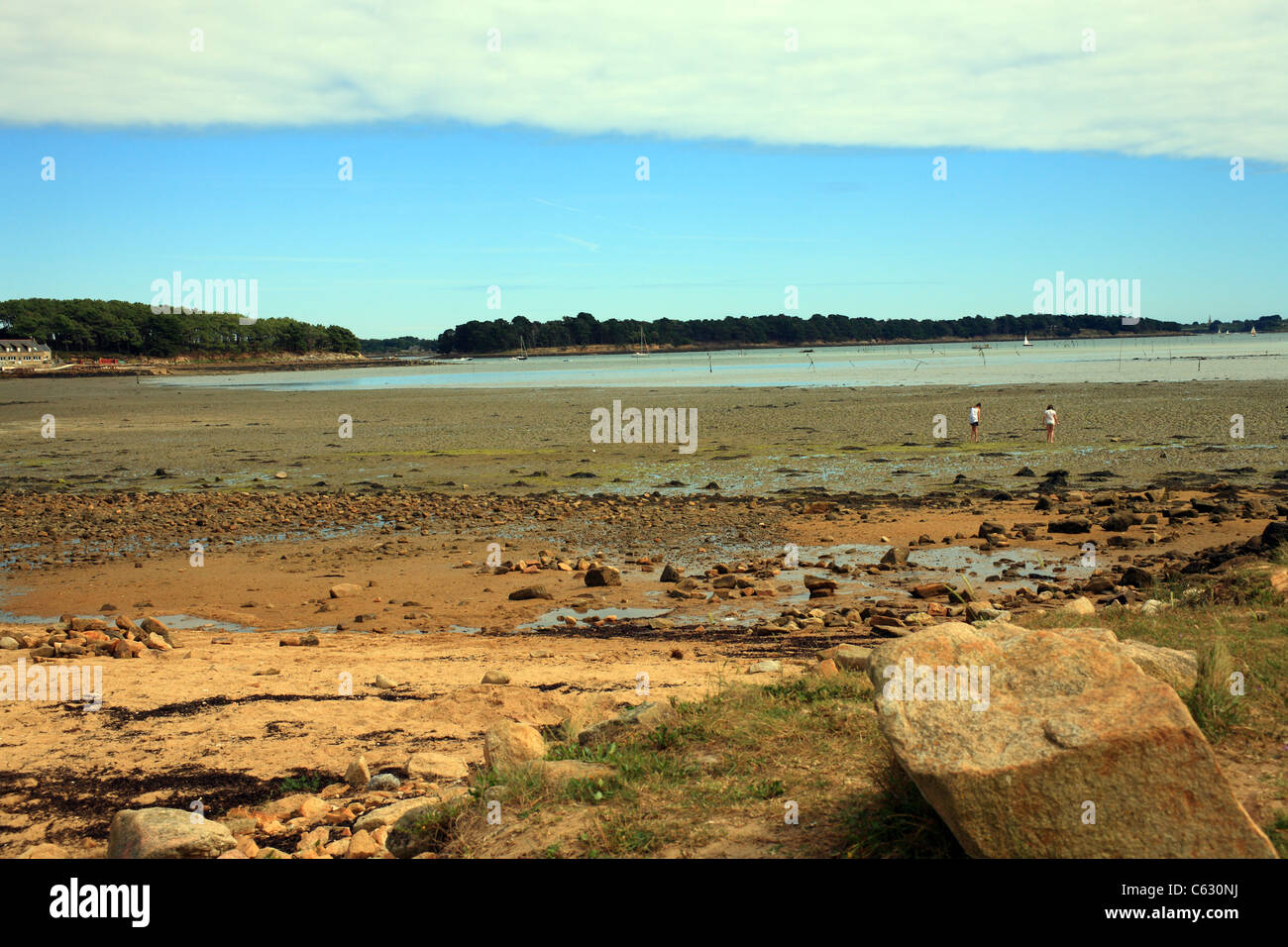 View of Anse de Baden at low tide from Locmiquel peninsular, Baden ...