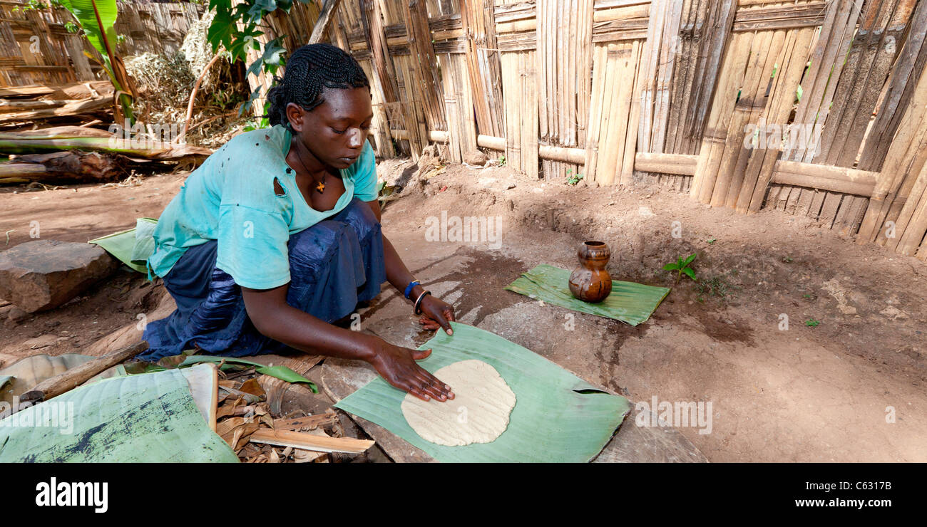 Enset hi-res stock photography and images - Alamy