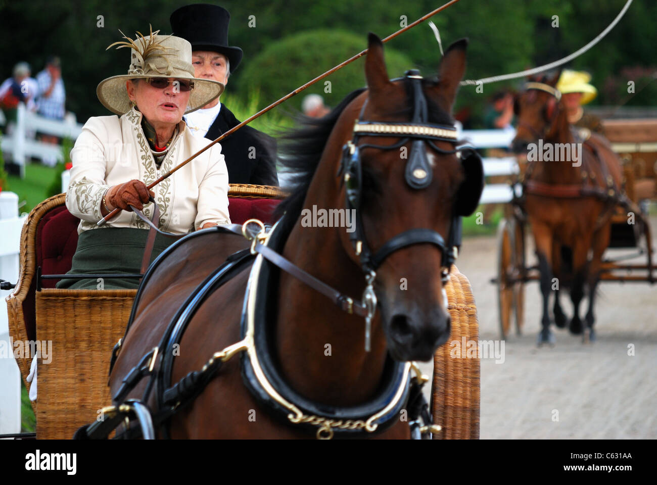 senior woman carriage driver with senior male passenger Stock Photo - Alamy