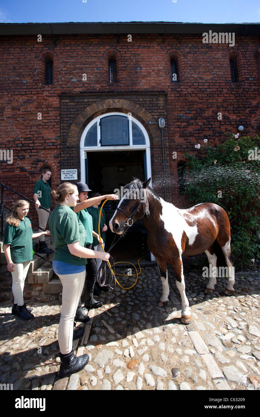 The Horse Rangers Association organization for children interested in ...