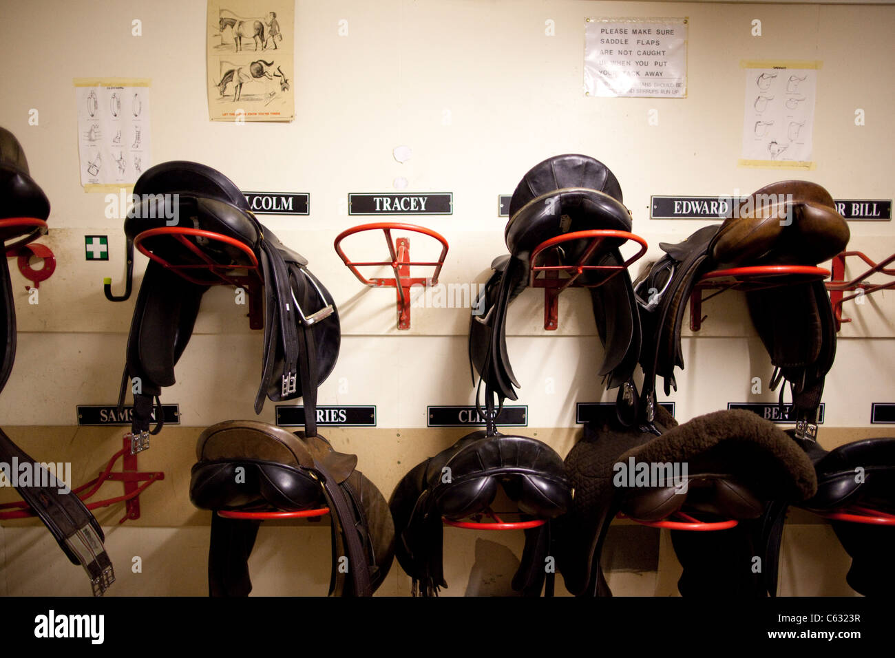 The Horse Rangers Association organization for children interested in ...