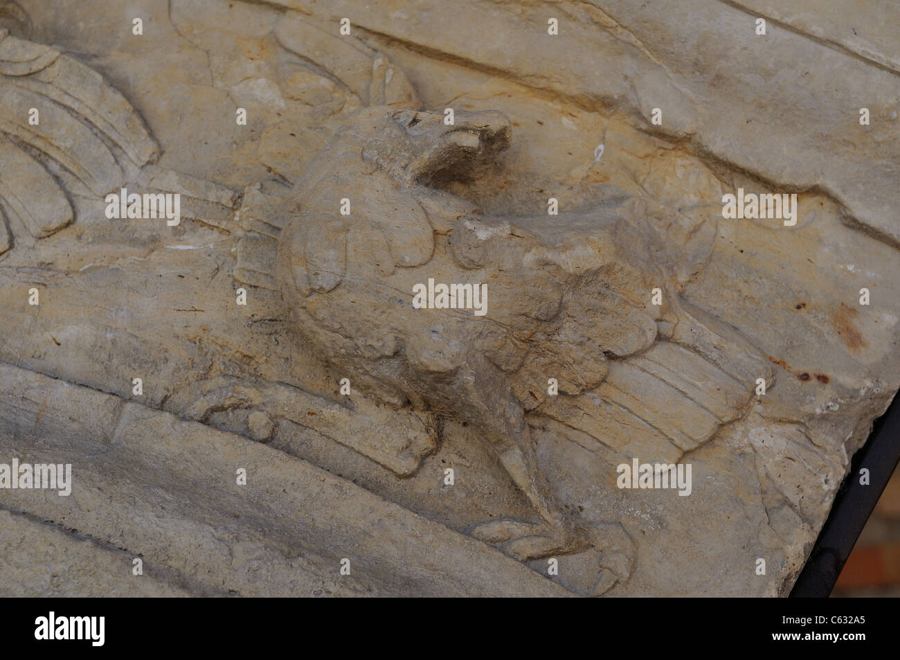 Putti- Voussoir . Renaissance ( Plateresque ) belonging to the ...