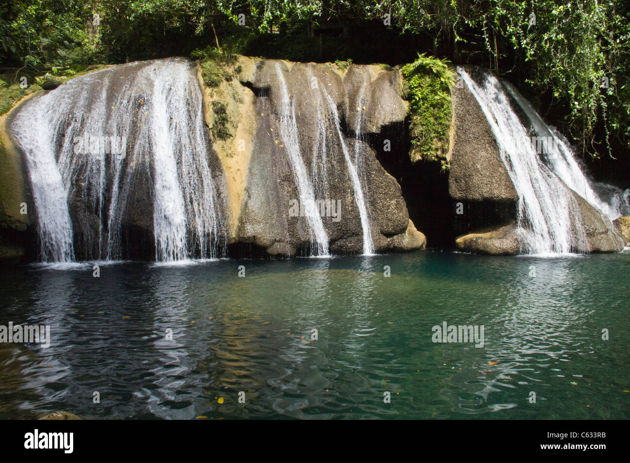 Reach falls in Port Antonio, Jamaica Stock Photo - Alamy