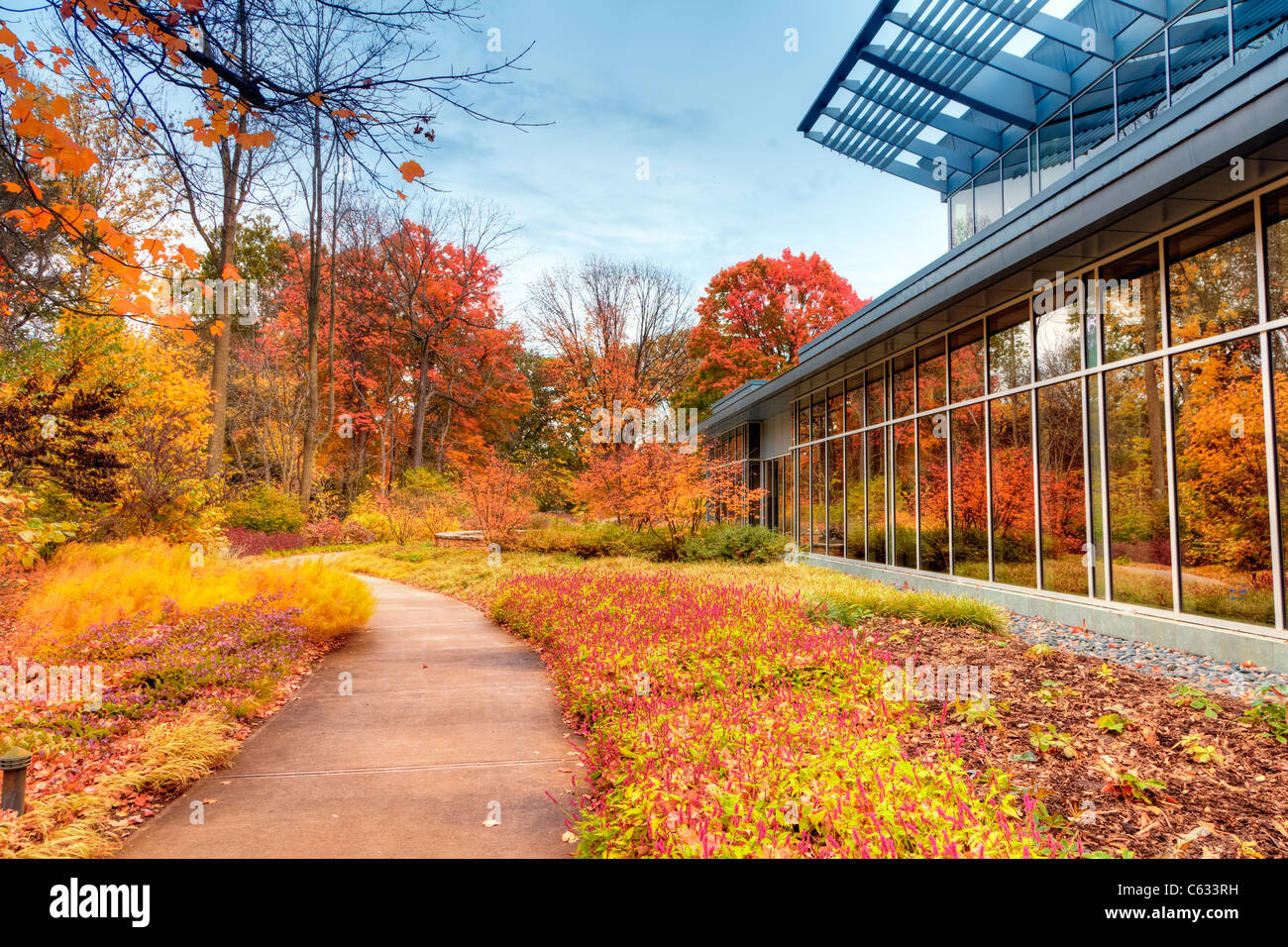 Autumn scene in a park Stock Photo - Alamy