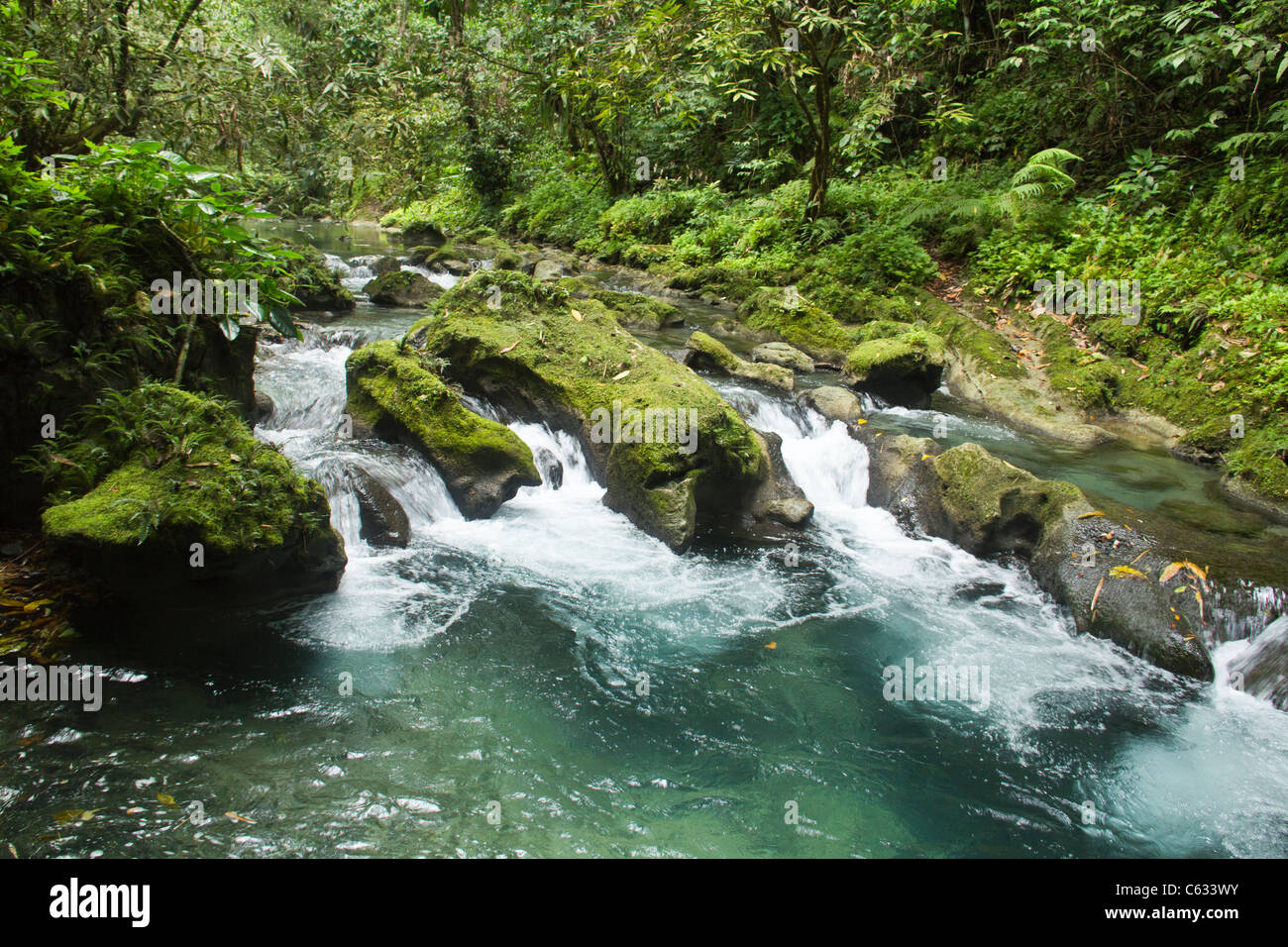 Port antonio reach falls hi-res stock photography and images - Alamy