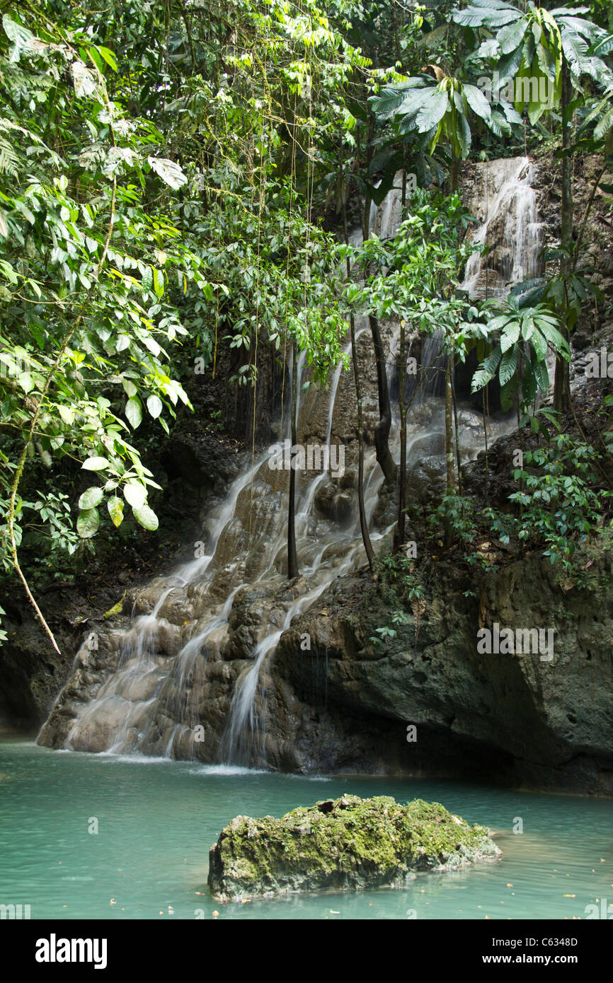 Somerset falls in Ocho Rios, Jamaica Stock Photo - Alamy