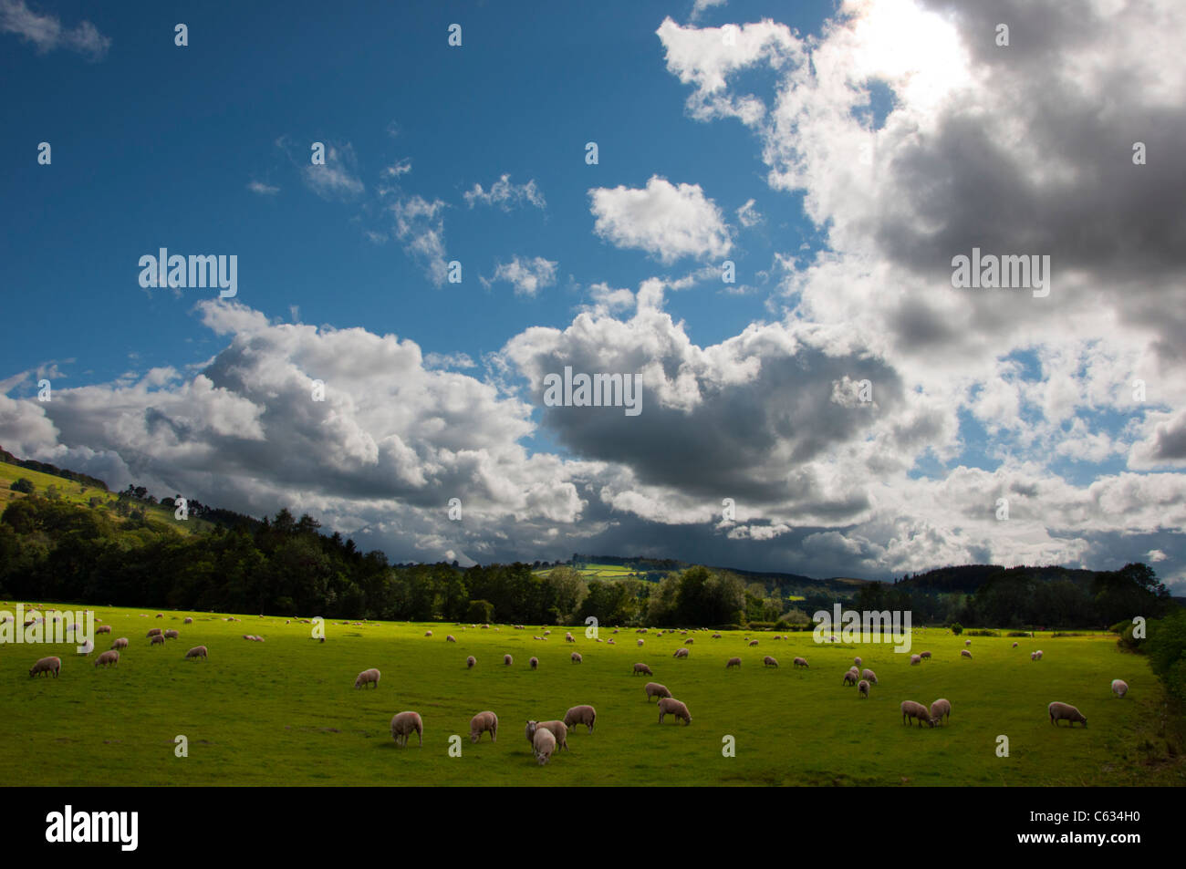 Welsh borders hi-res stock photography and images - Alamy