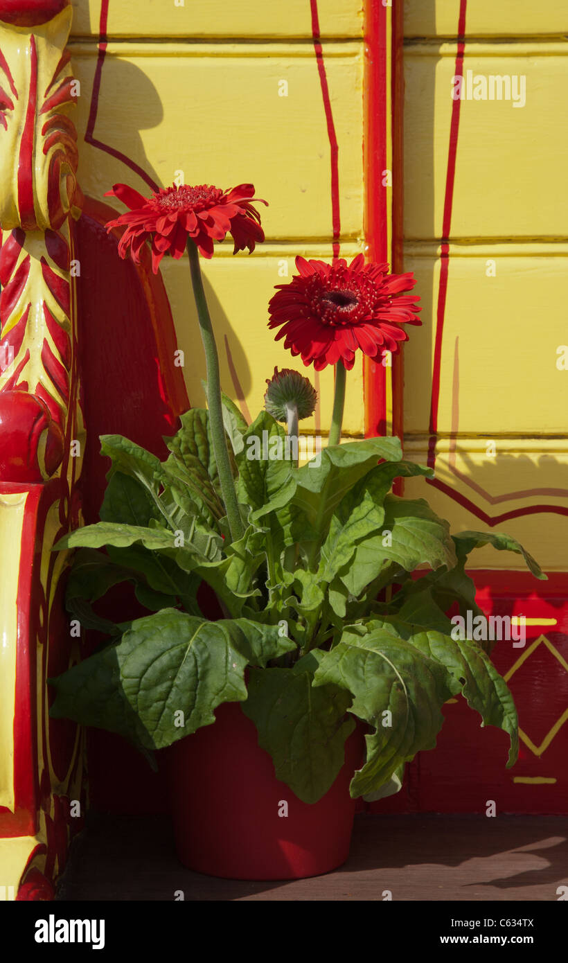 Yellow caravan yellow flowers hi-res stock photography and images - Alamy