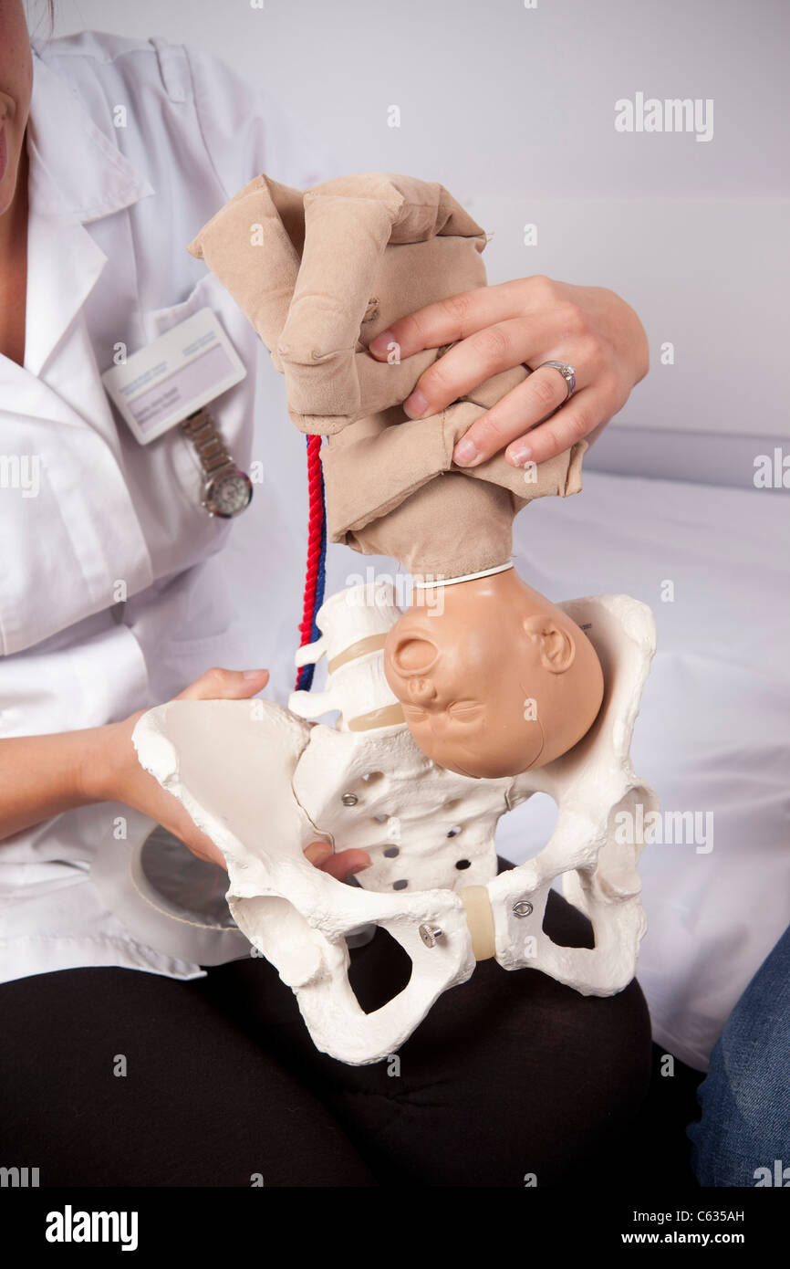 Birth Canal High Resolution Stock Photography and Images - Alamy