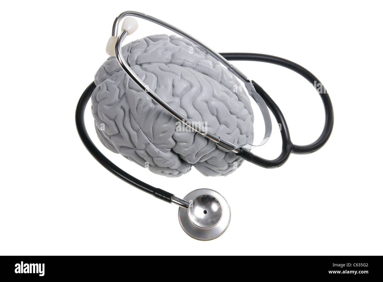 Brain Specimen and Stethoscope Stock Photo - Alamy