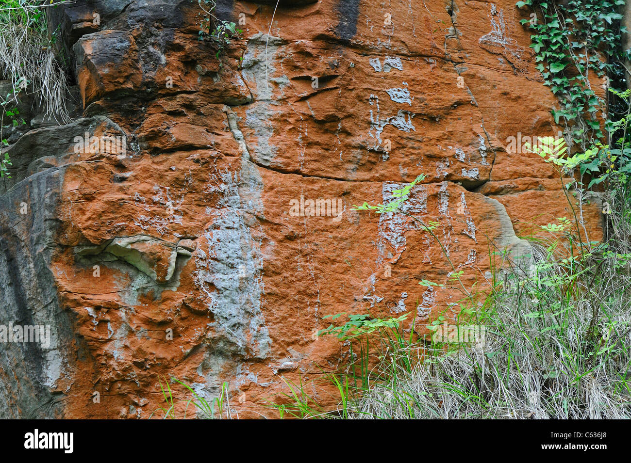 Orange staining on a rare outcrop of Magnesium limestone in a old rail ...
