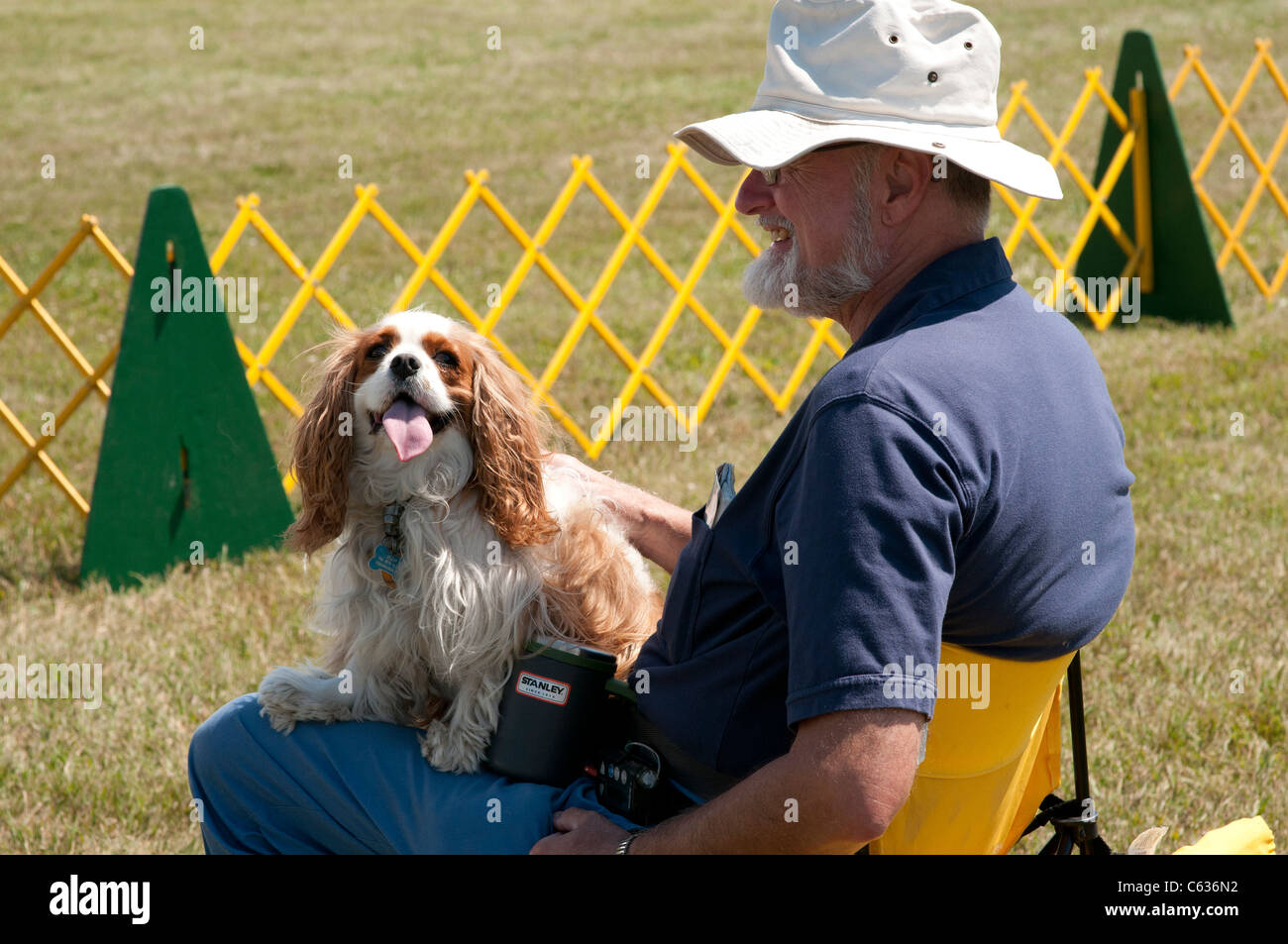 Lap dog man hi-res stock photography and images - Alamy