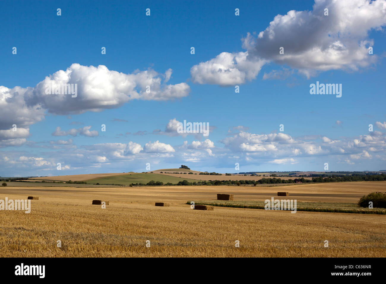 Pewsey downs alton barnes hi-res stock photography and images - Alamy