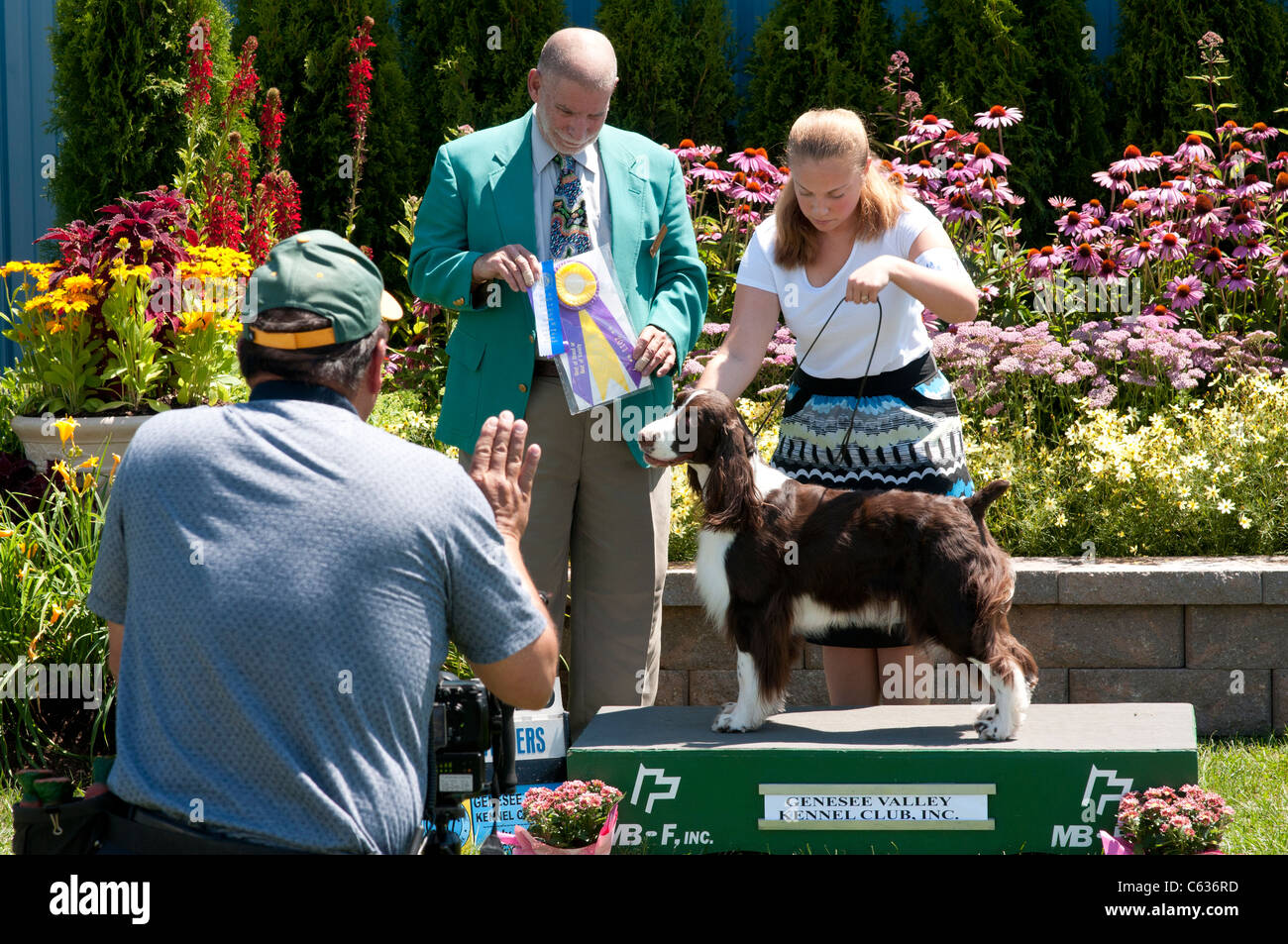 Winning dog posing Stock Photo - Alamy