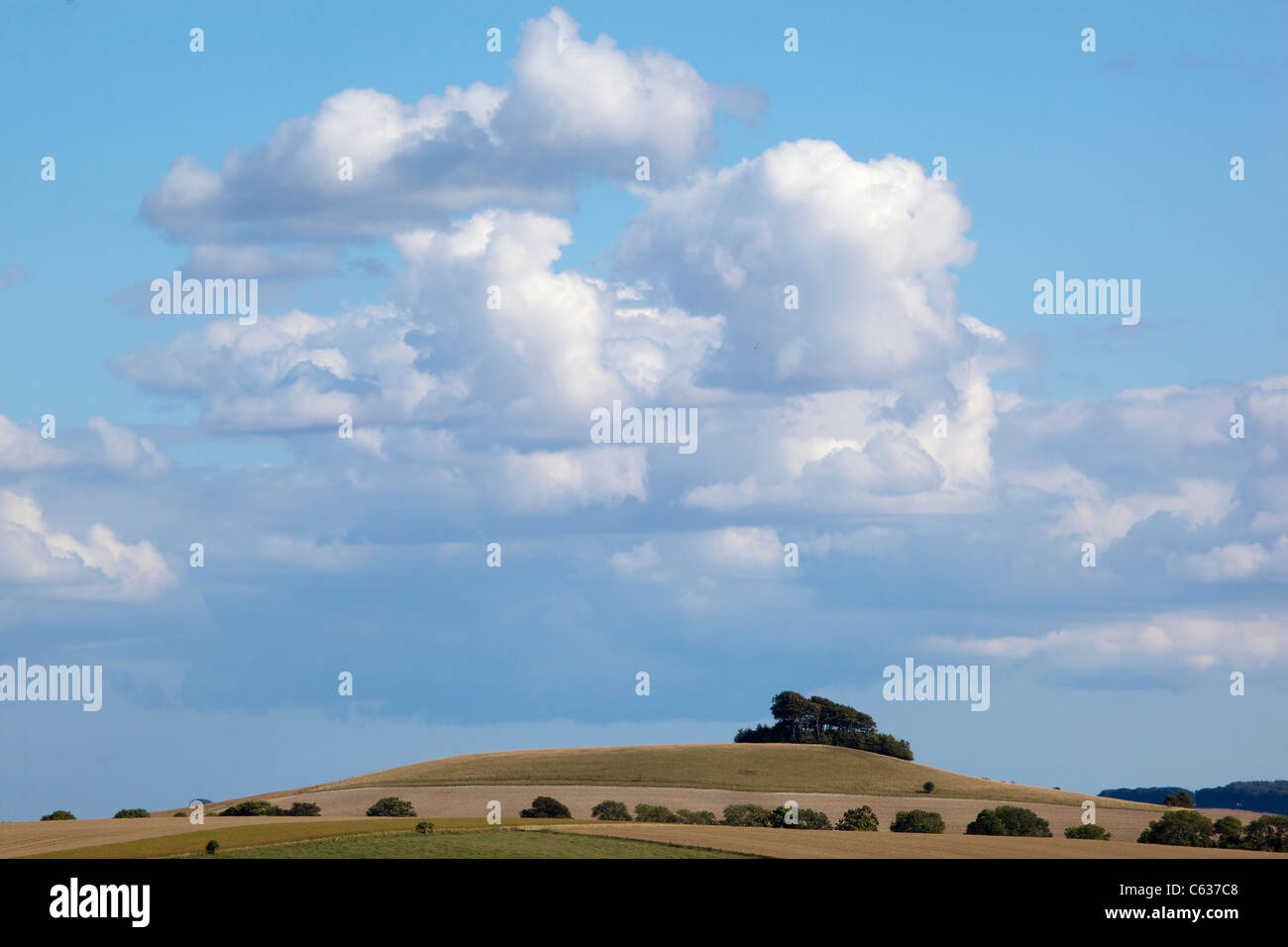 Pewsey downs alton barnes hi-res stock photography and images - Alamy