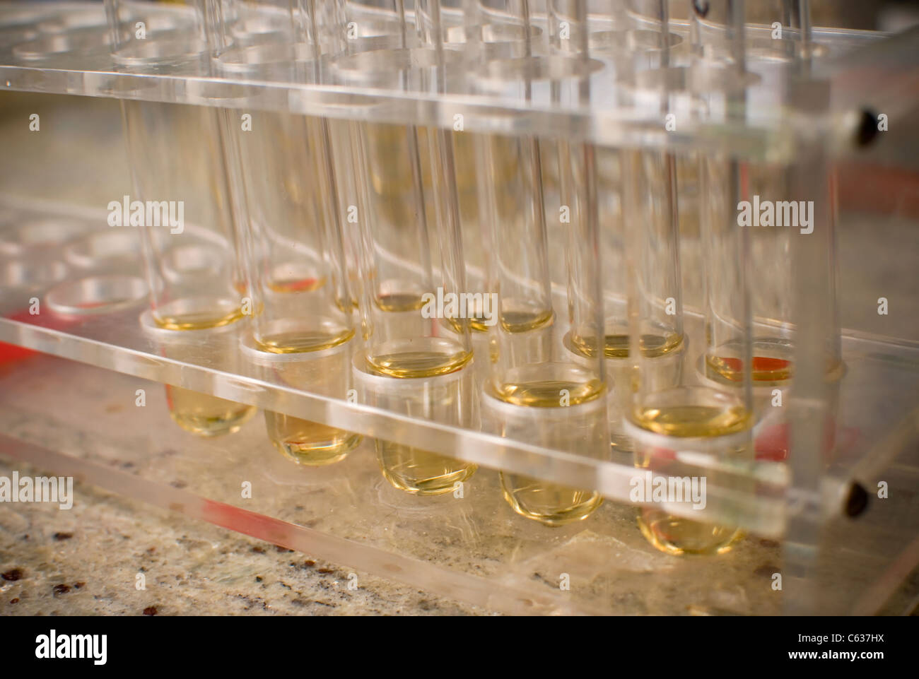 Close-up on labaratory test tubes Stock Photo - Alamy