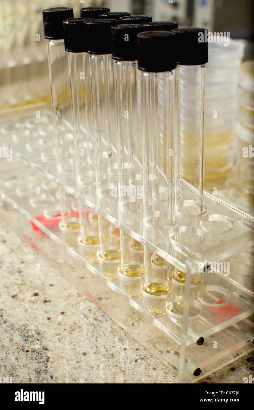 Close-up on labaratory test tubes Stock Photo - Alamy