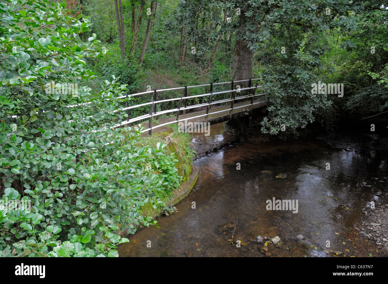Footbridge by the Ford between Poleshill and Kittisford - River Tone ...