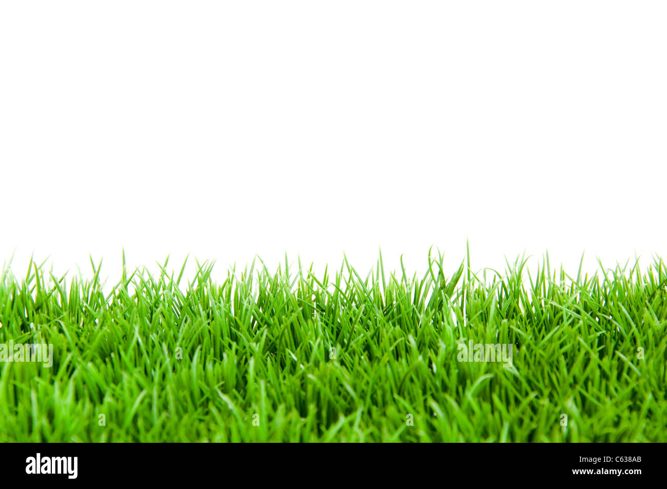Grass isolated on white background Stock Photo - Alamy