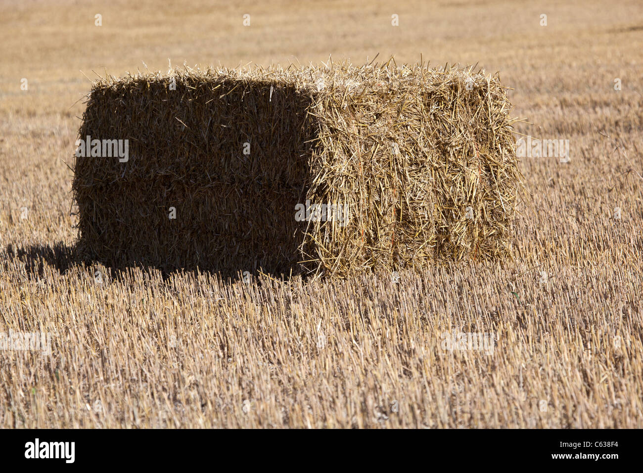 Straw Wheels High Resolution Stock Photography and Images - Alamy