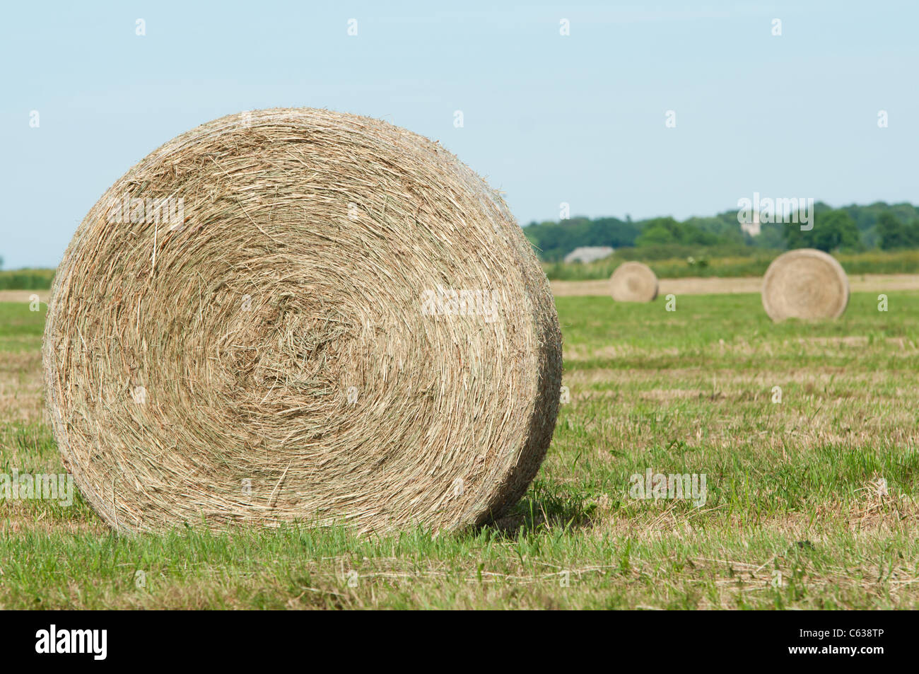 Straw rolls on farmer field in the summer Stock Photo - Alamy